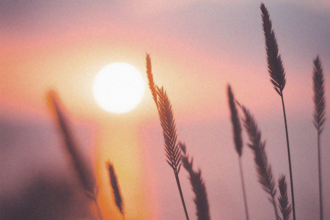 「迴歸」2019丨JOYLOOP-重拾那份記憶