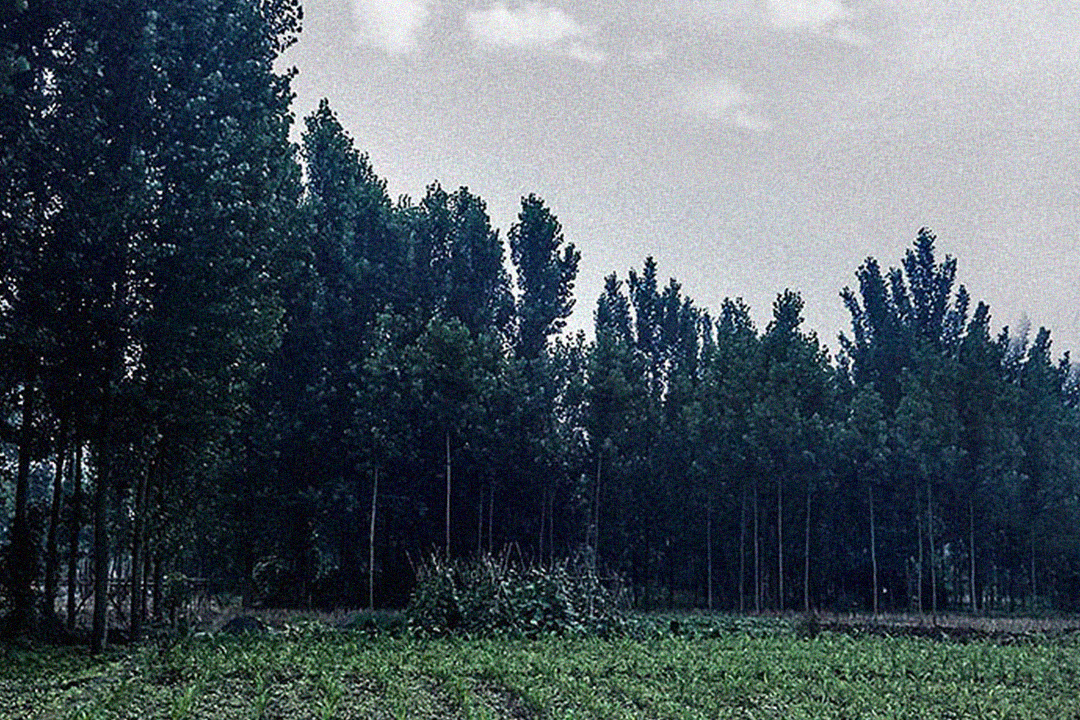 「迴歸」2019丨JOYLOOP-重拾那份記憶